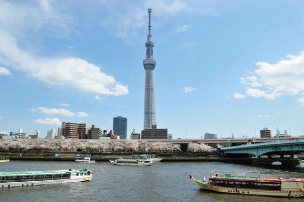Introduction of Tokyo - Shore Excursions Asia