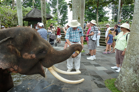 Bali Wildlife Tours - Shore Excursions Asia