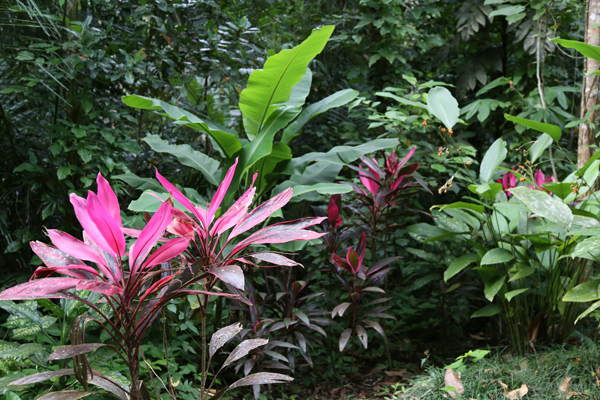 Manila - Bewitching Hidden Valley Tour - Shore Excursions Asia