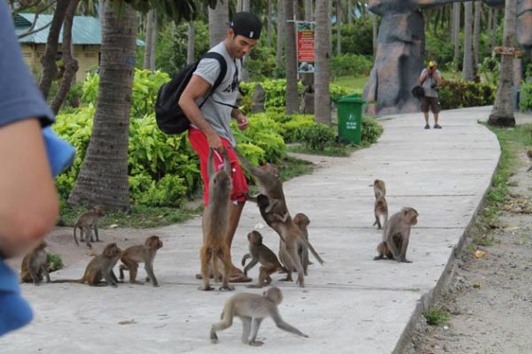 Monkey Island - Shore Excursions Asia