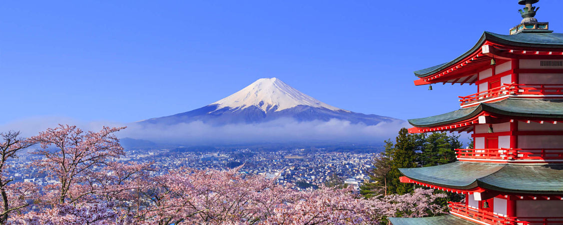 Shimizu Tour to Mt. Fuji & Hakone - Shore Excursions Asia