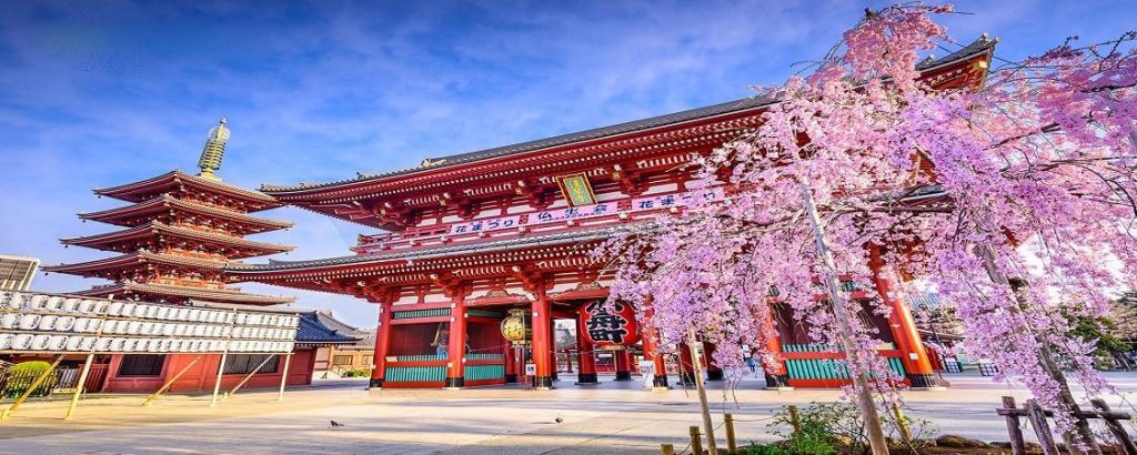 Tokyo Highlights Tour - Shore Excursions Asia
