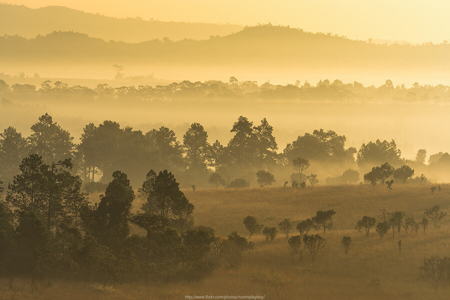 A Glimpse of Bangkok - Shore Excursions Asia