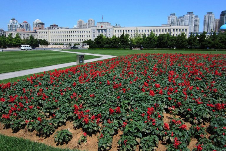 Dalian City Tour - Shore Excursions Asia