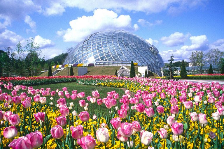 Sakaiminato Shore Excursions, Day Tours & Trips for Cruise Ship Passengers