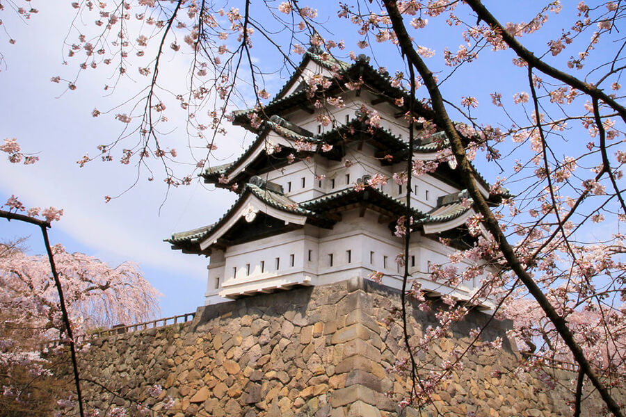 Best Japan Shore Excursions, Cruise Tours & Trips from Port