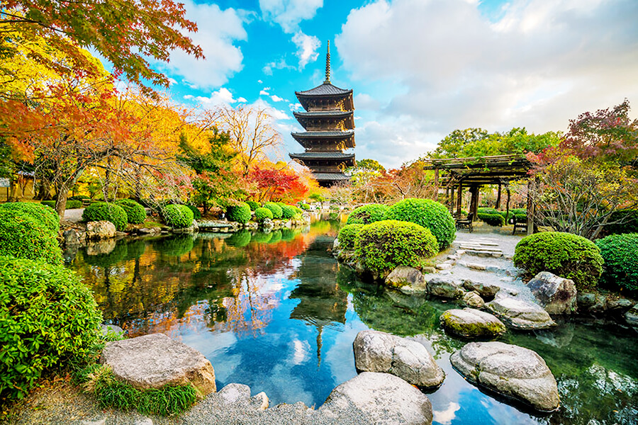 Top Japan Shore Excursions, Cruise Tours & Day Trips from Cruise Port