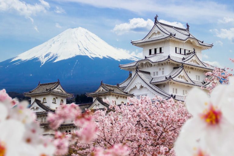 Top Japan Shore Excursions, Cruise Tours & Day Trips from Cruise Port