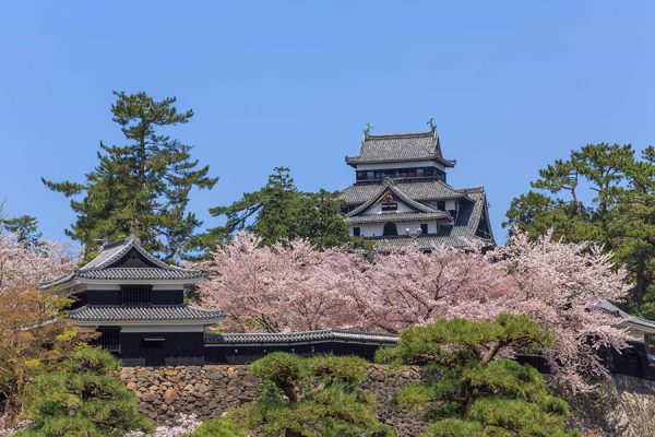 Sakaiminato Shore Excursions, Day Tours & Trips for Cruise Ship Passengers