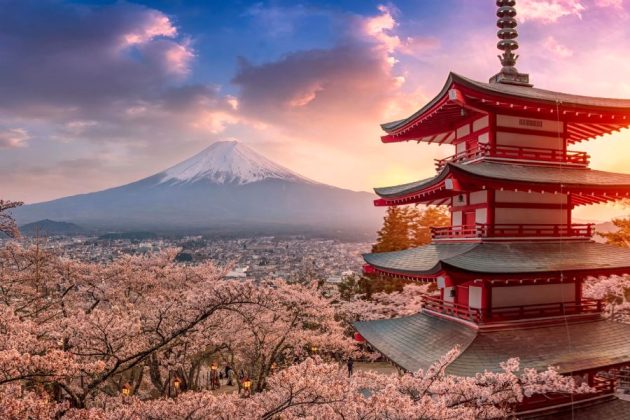 Pre & Post Cruise Tours