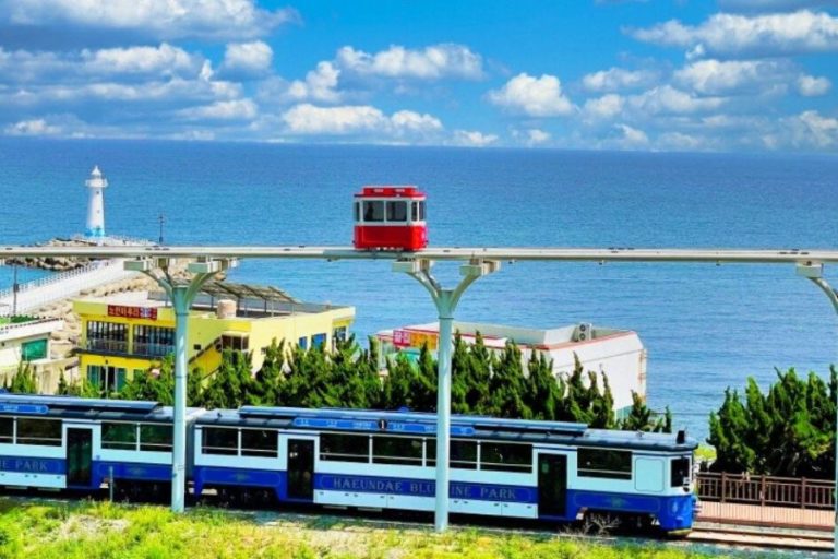 Busan Special Tour for Diamond Princess Cruise Passengers