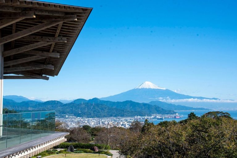 Shimizu Highlights Tour